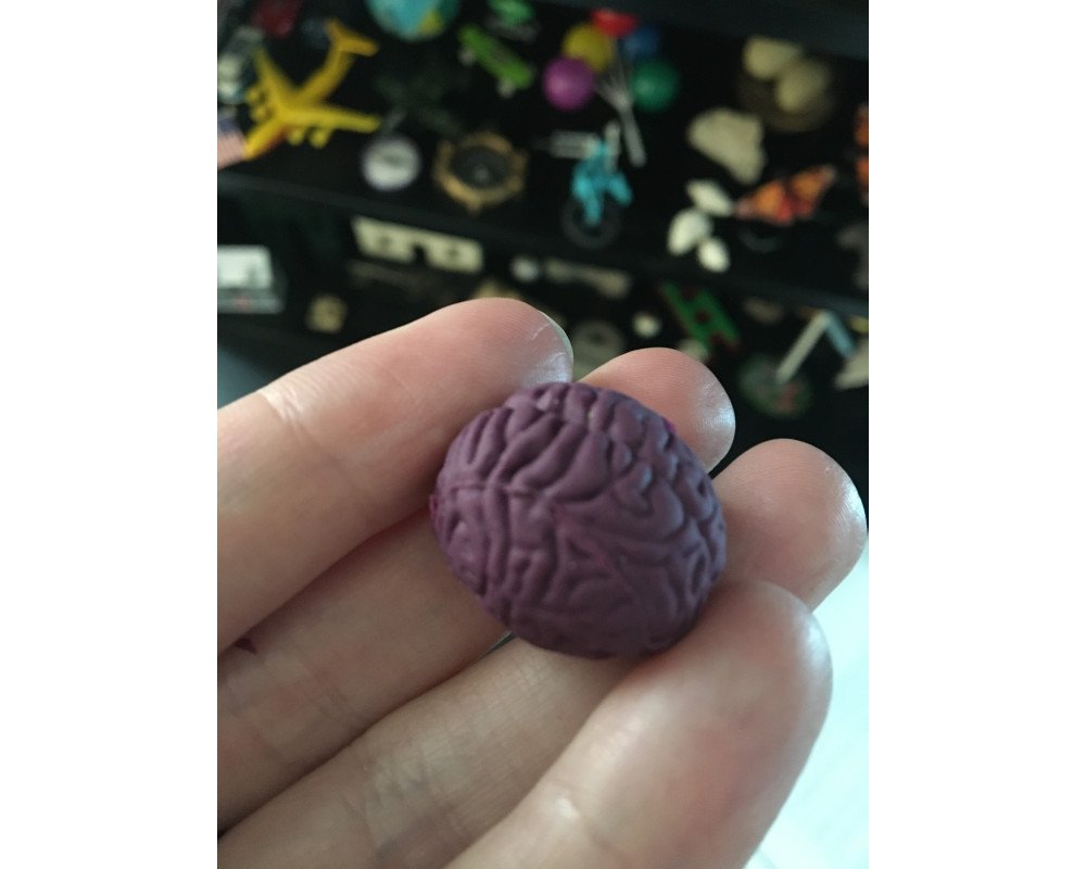 Rubber Brain – Sand Tray Therapy