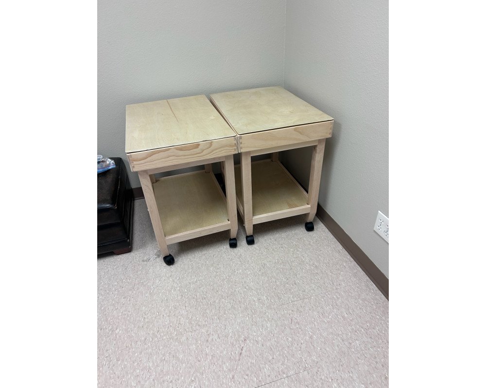 Basic Wooden Sand Tray with Rolling Cart Combo – Sand Tray Therapy