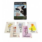Todd Parr's Feelings Flashcards – Games