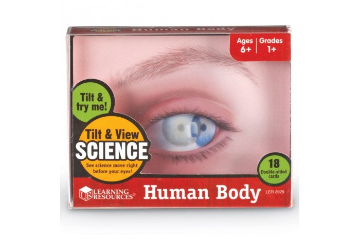 Human Body Card Set – Child Life Specialist