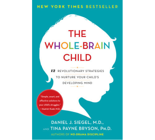 The Whole-Brain Child: 12 Revolutionary Strategies to Nurture Your ...